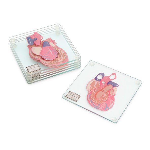 Anatomic Heart Specimen Coasters – GeekCore